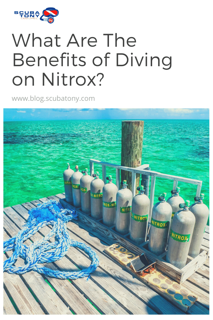 The Benefits of Diving on Nitrox | Should you do the PADI nitrox course?
